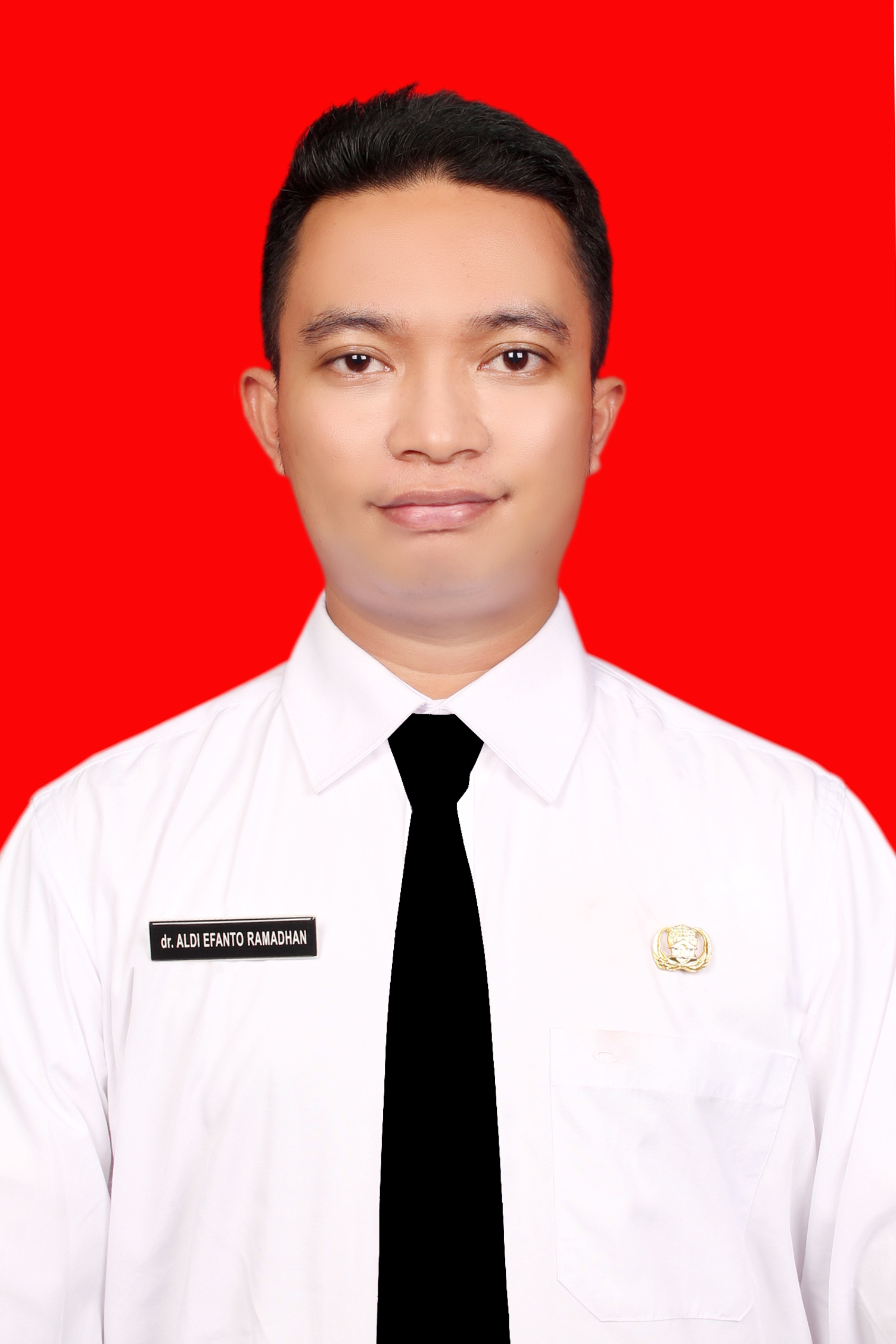 Database Alumni